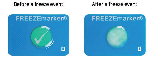 Temptime Corporation / Freeze Marker